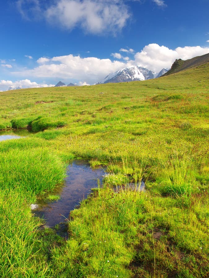 Green Scotland Valley in Spring Stock Image - Image of cloudy, europe ...