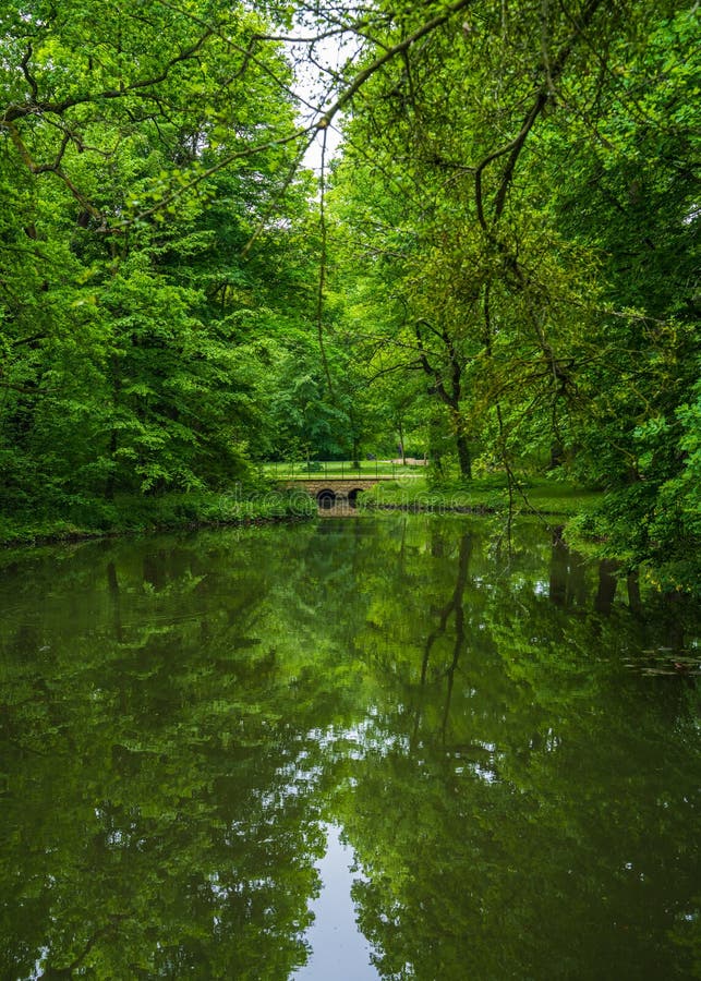 Small Lake among Green Trees in City Park. Small Bridge Stock Image ...