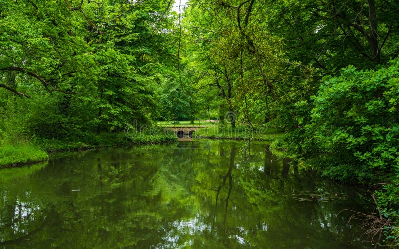 Small Lake among Green Trees in City Park. Small Bridge Stock Photo ...