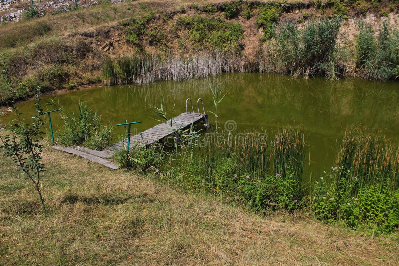 Small Lake with Green Water for Fish Farming Stock Image - Image of ...