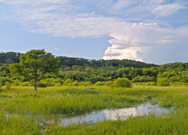 Small Lake in the Middle of a Meadow Stock Photo - Image of cloud, lake ...