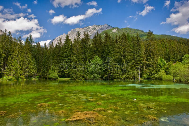 Small Lake with a Reflection of the Sky and the Clouds in Gradental ...