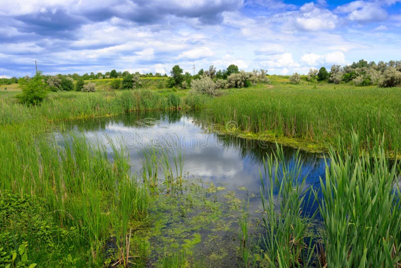 Small lake stock photo. Image of background, grass, rural - 41663394
