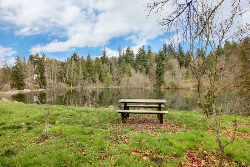 Small Lake Rasmussen, Duval. WA State Stock Image - Image of april ...