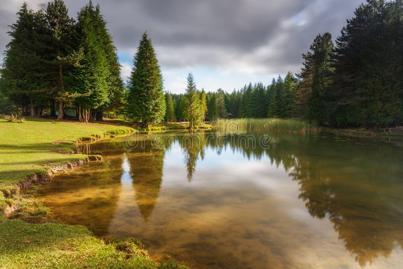 Small lake stock image. Image of lake, summer, pine, tree - 83674121