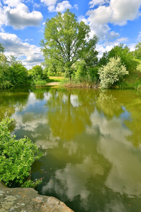 Small lake stock photo. Image of clouds, grass, plant - 31575914