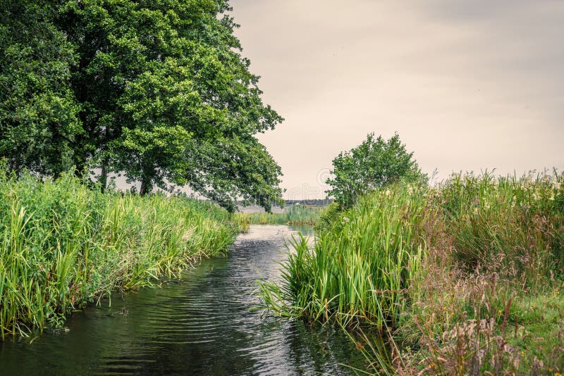Small Lake Stream with Rushes Stock Image - Image of landscape, calm ...