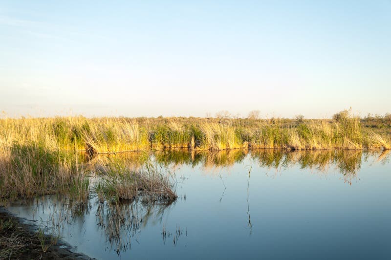 Small Lake Under Nice Sky, Evening Scene on Lake in Steppe Stock Photo ...