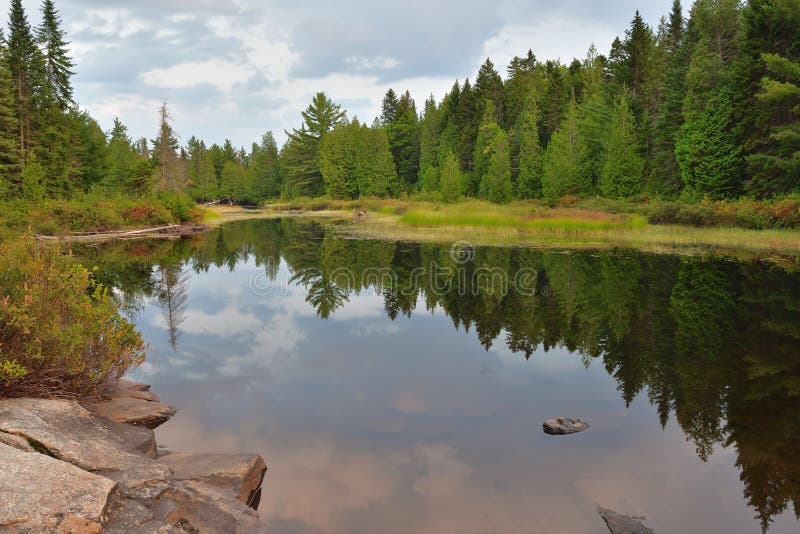 Small Lake Very Calm Water and Tree Reflection Stock Image - Image of ...