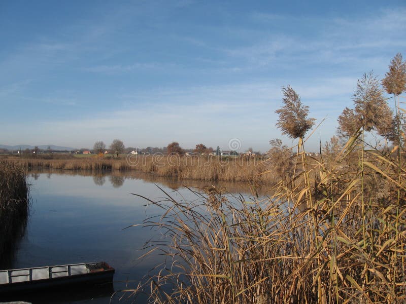 Small lake stock image. Image of cloude, willage, background - 62498221