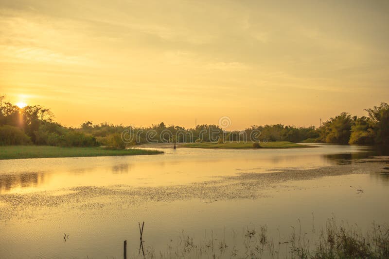 Small Lake View with Sunset Stock Photo - Image of grass, tree: 42966386