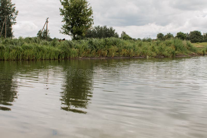 Small Lake in a Village in a Meadow Stock Image - Image of engadin ...