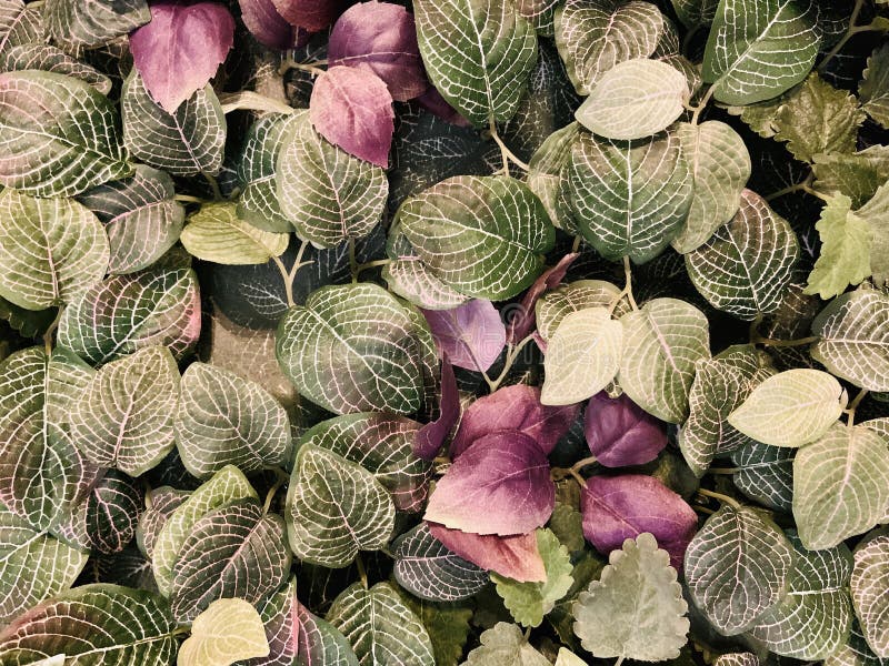 Small leaves stock photo. Image of fence, artificial - 159119178