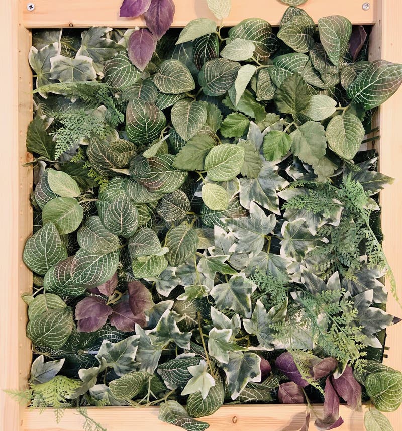 Small Leaves stock image. Image of bright, water, garden - 159119171