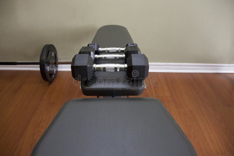 Small Light Dumbell Weights Stock Image - Image of iron, indoors: 147249447