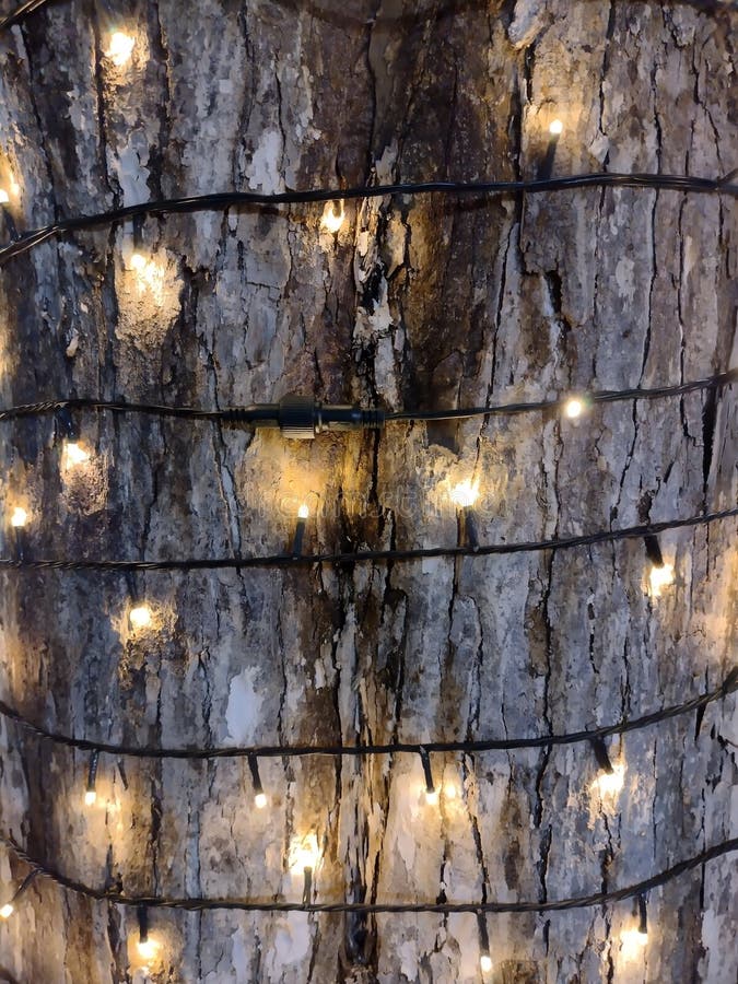 Small Lights Decorating a Tree Stock Photo - Image of shine, glowing ...