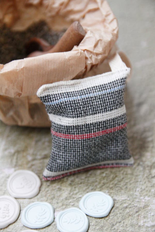 Small green cactus stock photo. Image of sharp, small - 38857518