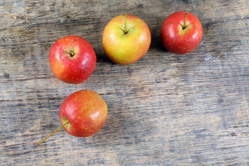 Cherry Apple fruit stock photo. Image of berry, strawberry - 105288356