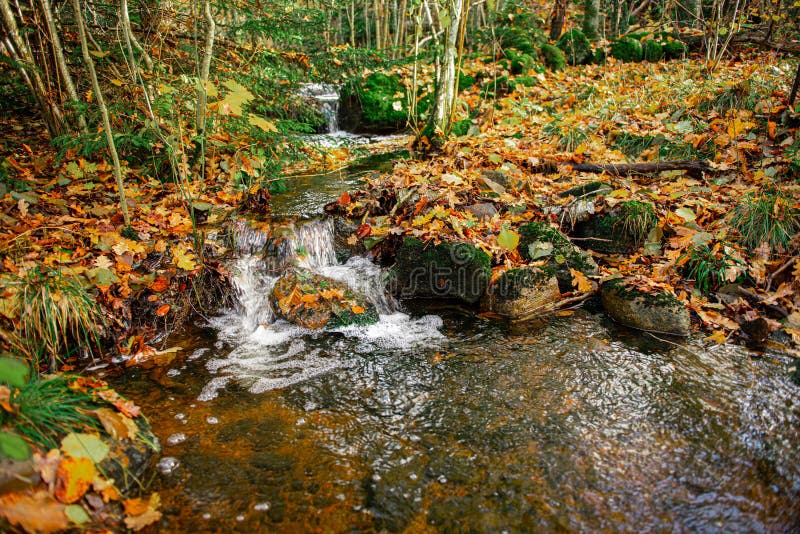 A Small and Lively Stream Passing between Rocks.. Stock Photo - Image ...