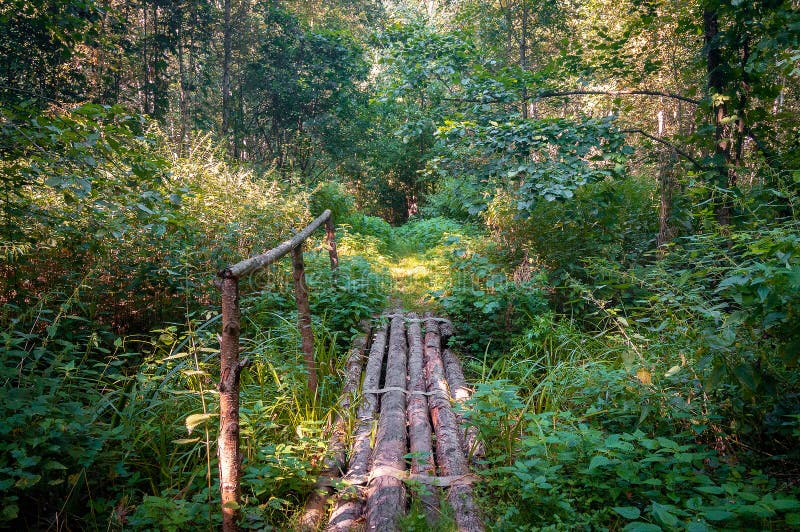 A Small Log Deck with Railings is a Makeshift Pedestrian Bridge Over a ...