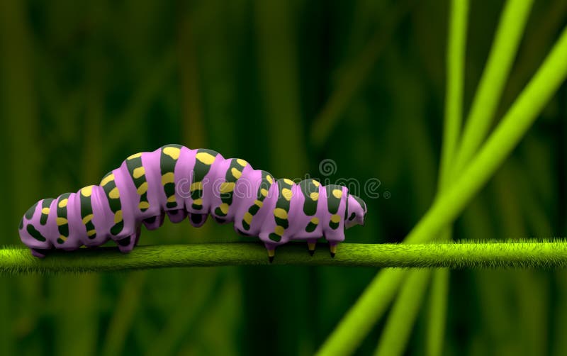 Small Love Insects 3D Rendering Stock Illustration - Illustration of ...
