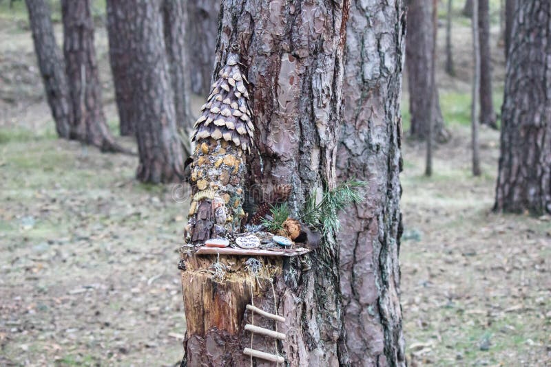 Gnomes in the forest stock photo. Image of girls, gnome - 3349846