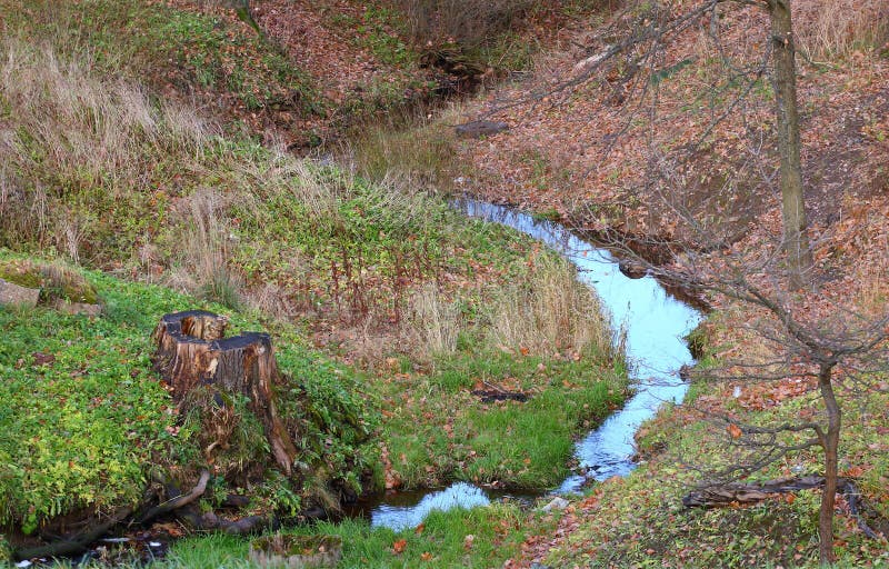 Meandering Stream Through A Meadow Stock Photo - Image of meadow, lush ...