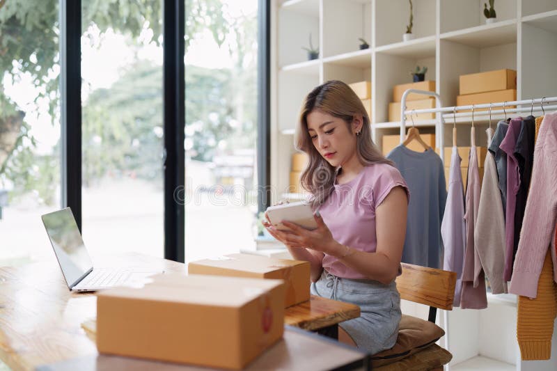 Small and Medium Business Freelance Worker Working at Home Office ...