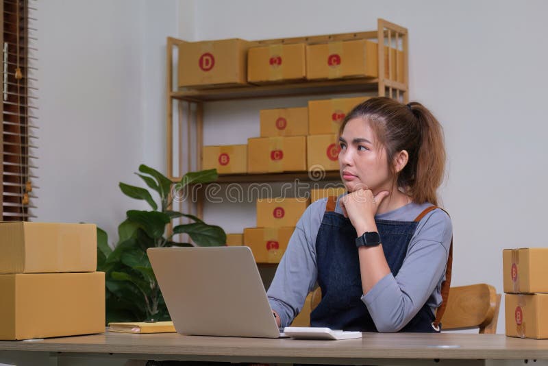 Small and Medium Business Freelance Worker Working at Home Office ...