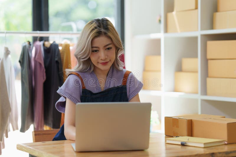 Small and Medium Business Freelance Worker Working at Home Office ...