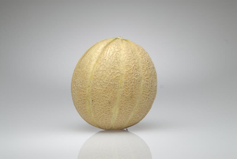 Small Melon from Organic Cultivation on White Background Stock Photo ...