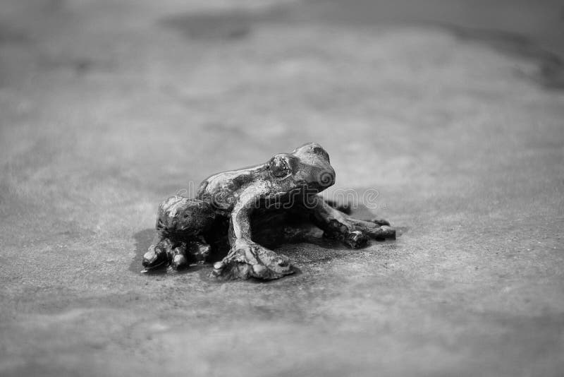 A Small Metal Frog on a Metal Plate. Stock Image - Image of metal ...
