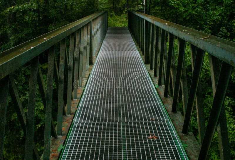 Small Metallic Bridge in the Woods with Greenery Around Stock Photo ...