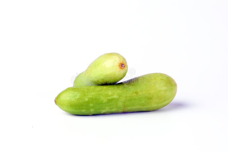 Small Mini Fresh Green Cucumber Stock Photo - Image of natural, mini ...