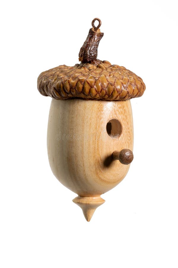 Bird - Acorn Woodpecker stock image. Image of wing, nature - 6977137