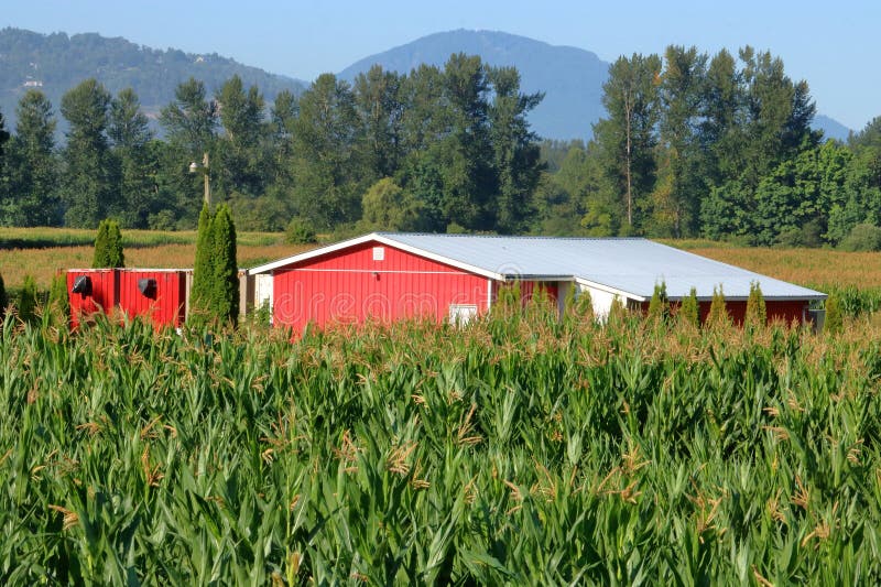 Small Modern Red Farm Building Stock Image - Image of meadow, barn ...