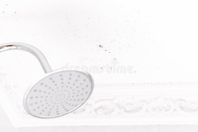 Shower Ceiling with Ring LED Module. the Concept of Modern Economical ...