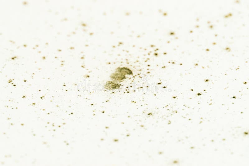 Shower Ceiling with Ring LED Module. the Concept of Modern Economical ...