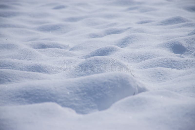 Molehills Covered with Fresh Snow Stock Photo - Image of moles, morning ...