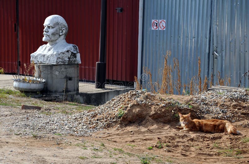 A cat and Lenin stock image. Image of sunny, small, monument - 255301047