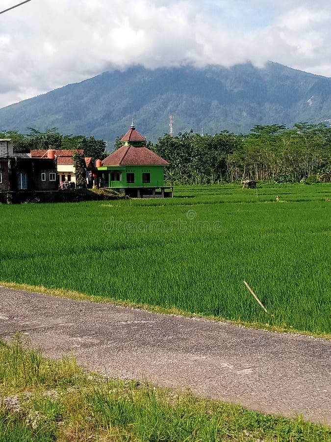 Susukan Ungaran East Central Java Stock Photos - Free & Royalty-Free ...