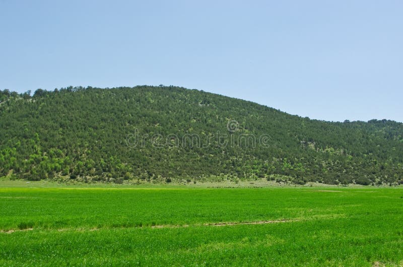 Small mountain stock image. Image of grass, landscape - 14172973