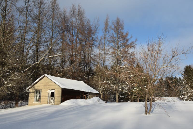 Small Mountain Chalet in the Canadian Forest Stock Image - Image of ...