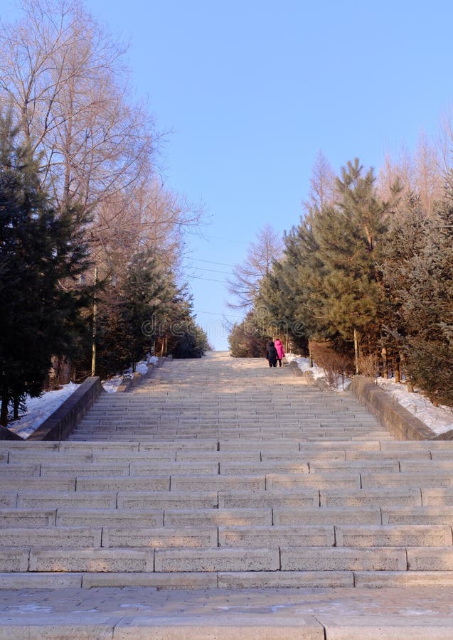 Small Mountain Climbing Steps Stair in Pine Forest Stock Photo - Image ...