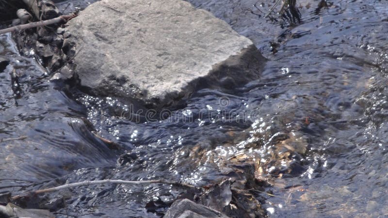 A Small Mountain Creek Running Down into the Duck Pond Stock Image ...