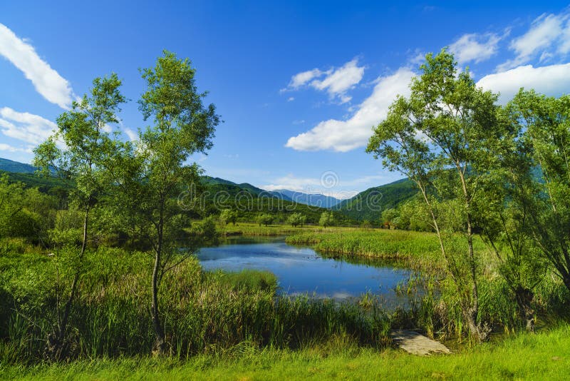 A Small Mountain Lake in the Mountains Stock Photo - Image of bright ...