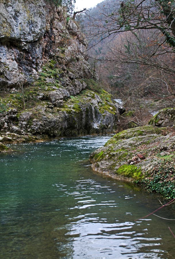 Small mountain river stock image. Image of chernaya, small - 77124331