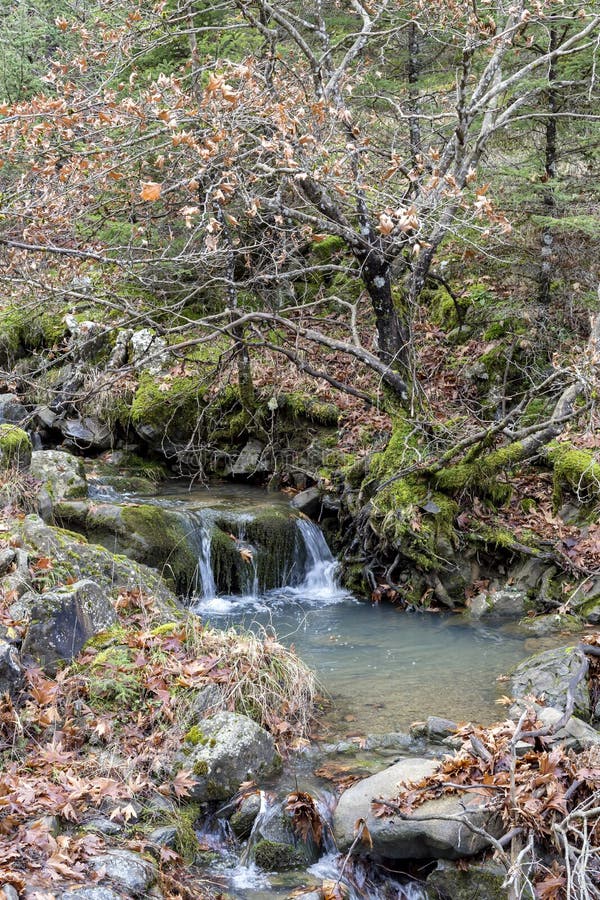 A Small Mountain River with Clean Water in the Winter Morning Stock ...