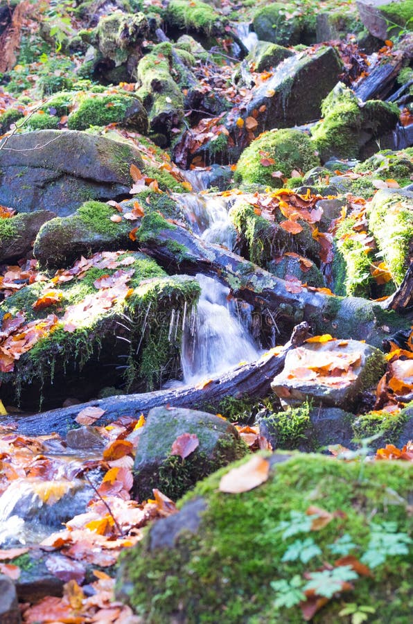 Mountain River Source Stock Images - Download 5,553 Royalty Free Photos