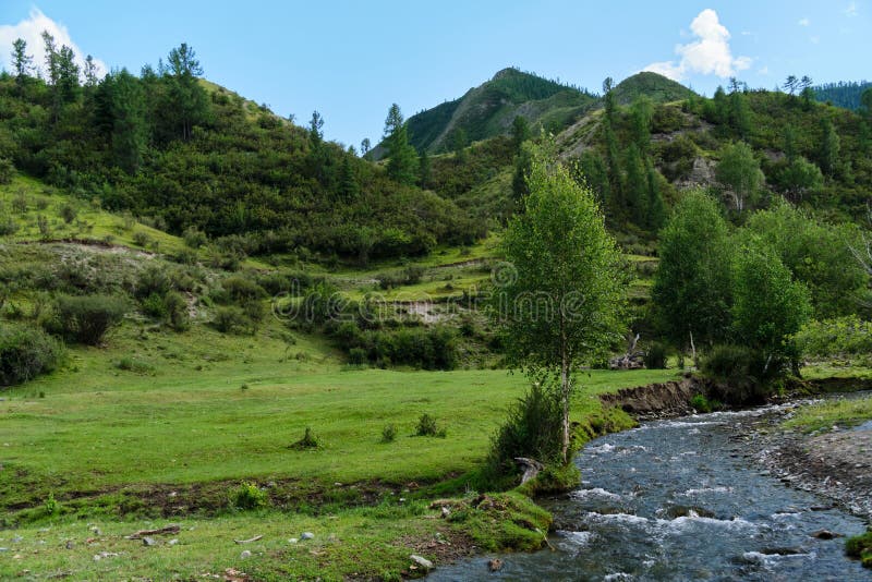 A Small Mountain River in a Green Valley Stock Image - Image of beauty ...